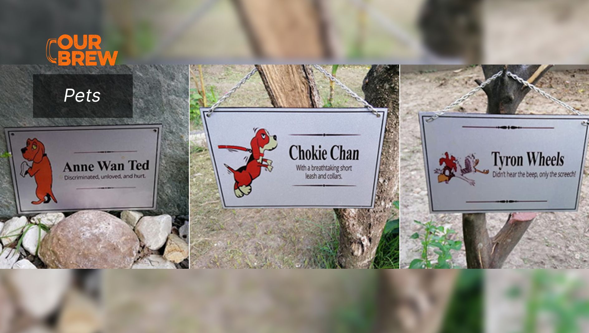 Laying Down Negativity to Rest in a Pet Cemetery