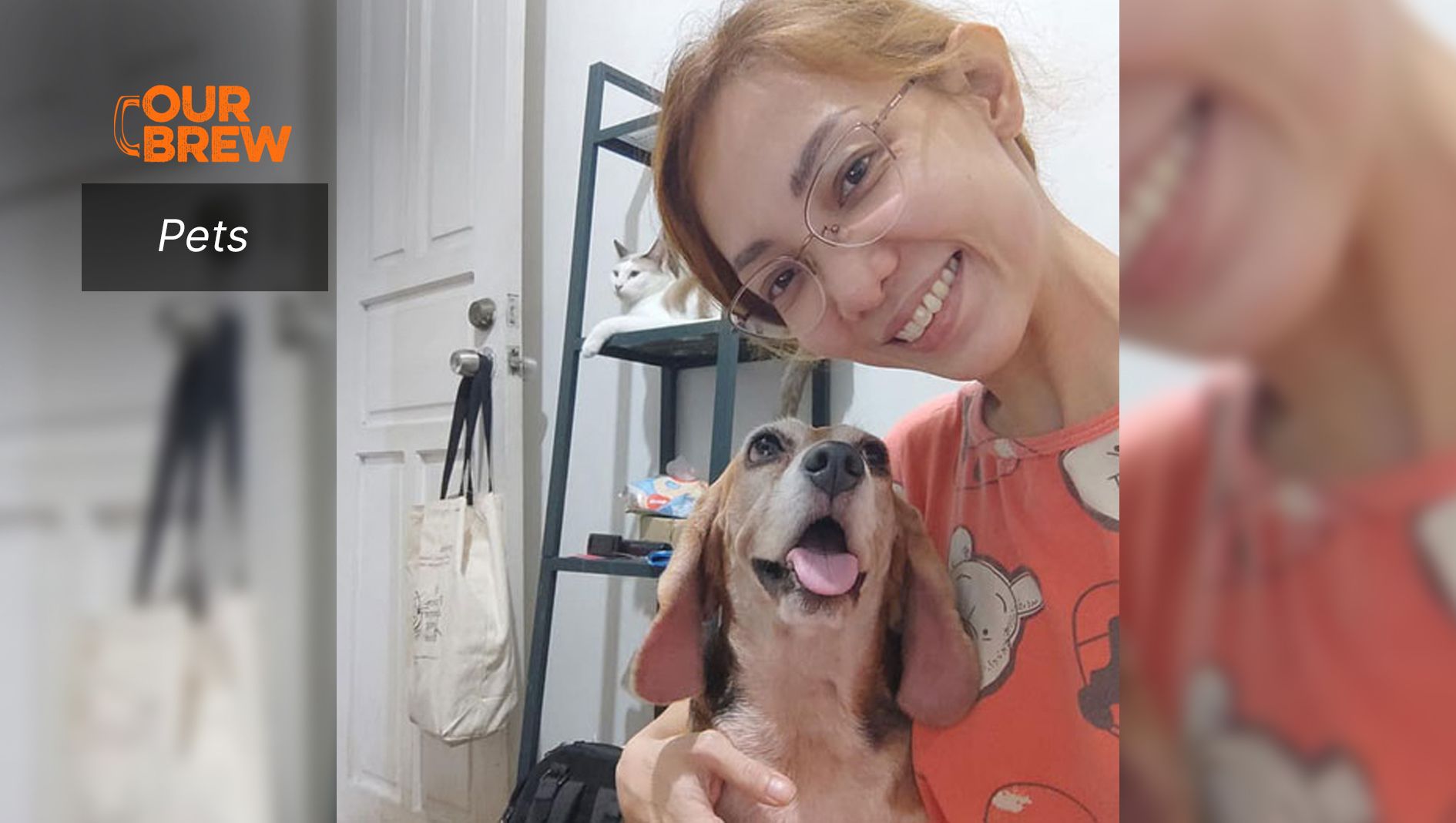 Karma, Dogs and Cats