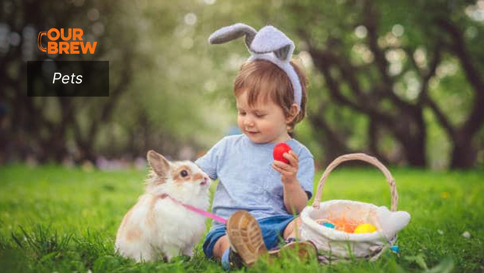 Why the Rabbit ‘Lays’ Eggs on Easter Sunday