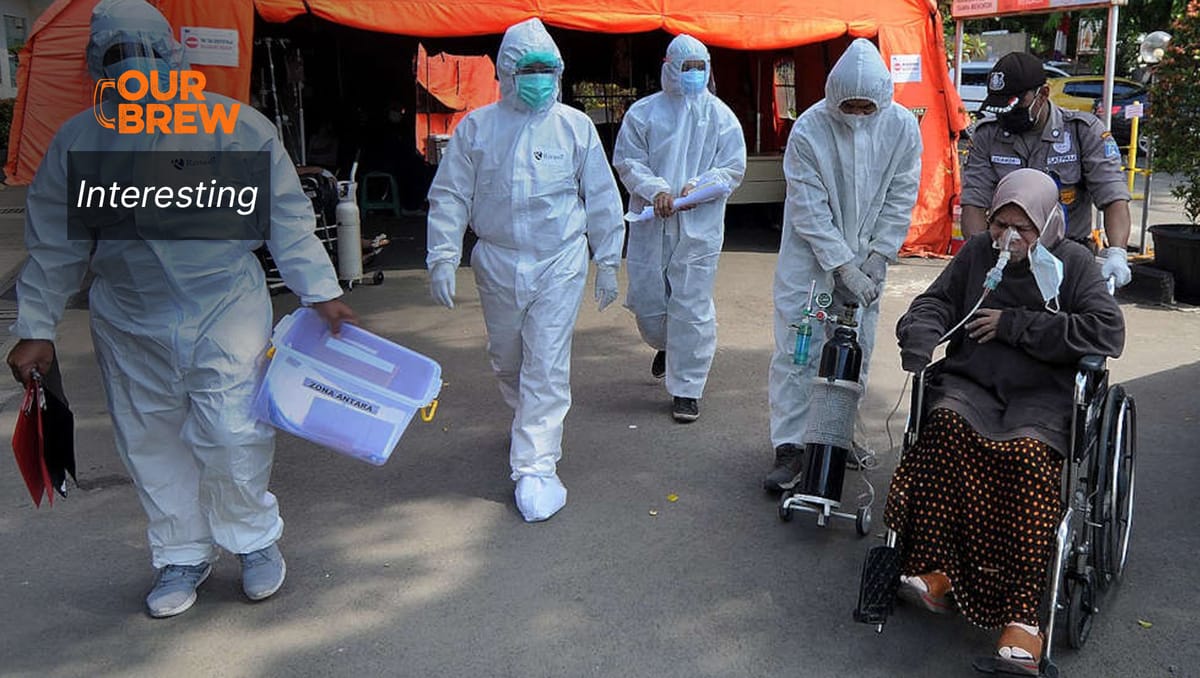 ‘Truly Scary’ Climate Change Diseases Study