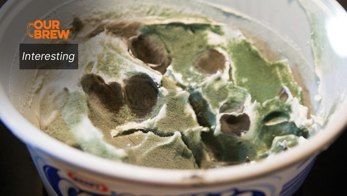 Food Expiration Dates Don’t Have Much Science Behind Them – A Food ...