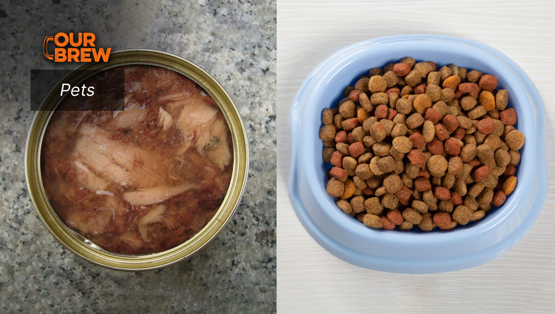 Wet Cat Food Vs Dry Cat Food Which Is Better